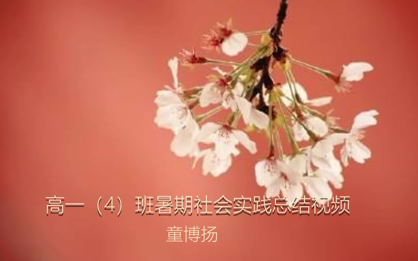 杭高高一(4)班暑期社会实践汇报视频