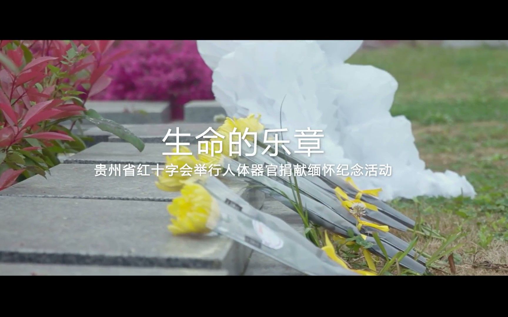 生命的乐章•2021年人体器官捐献缅怀纪念活动——贵州省红十字会