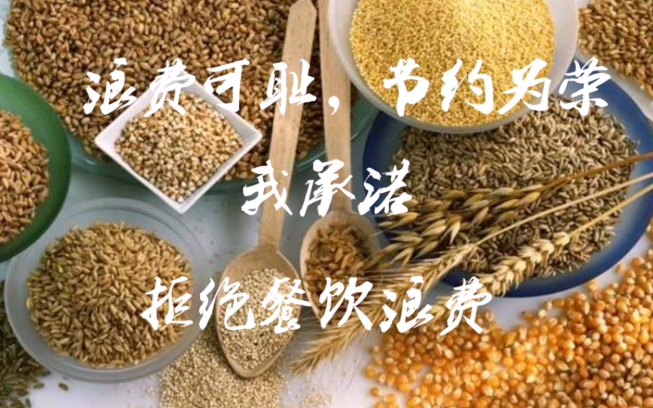 光盘行动从我做起公益广告