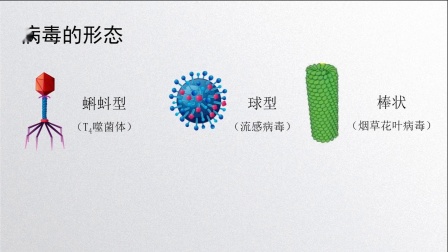 01滚动的病毒模型—导学视频.MP4