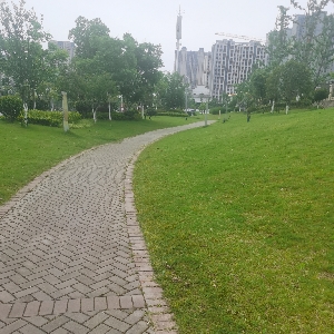 街道上安安 