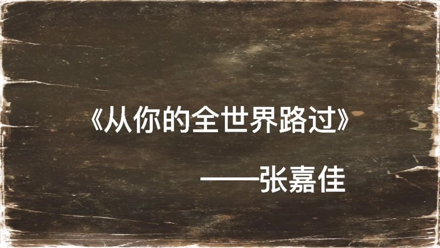 #小说推荐 从你的全世界路过#读书