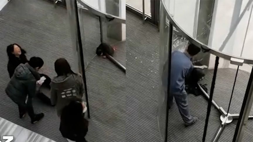遛狗不拴绳进商场,狗意外被卡旋转门,女主人躺地崩溃求破拆