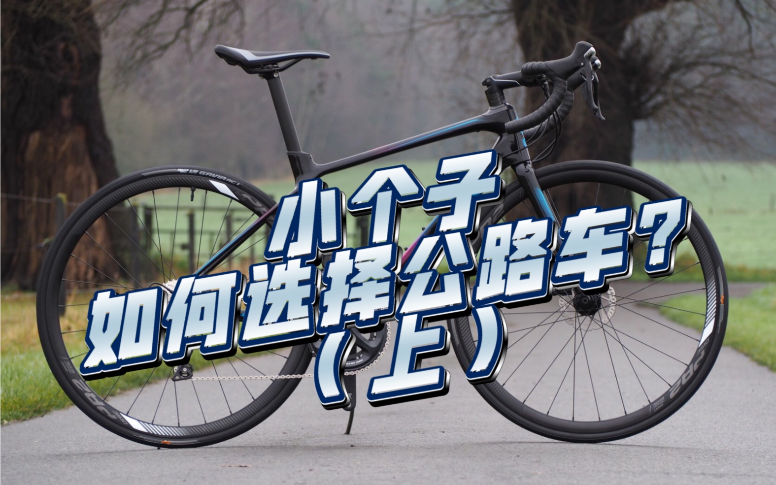 小个子如何选择公路车(上)