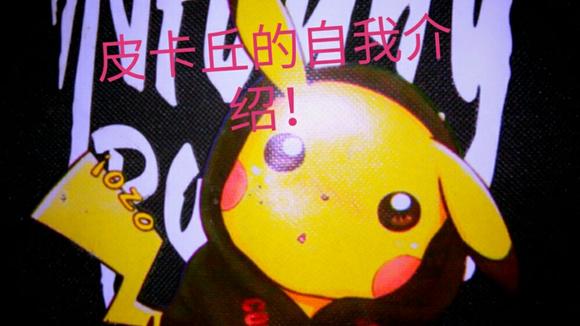 口袋妖怪:蠢萌的皮卡丘滴自俺介绍~~