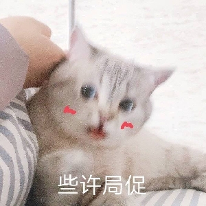 我还年轻我还年轻 