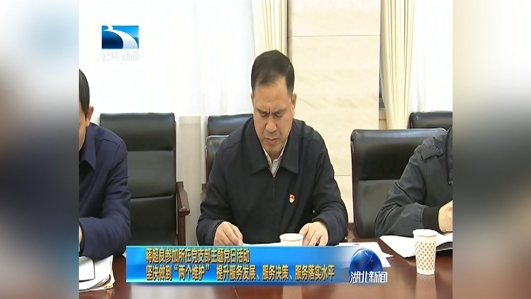 蒋超良 参加所在党支部主题党日活动