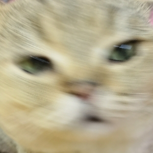 你搁这套娃 