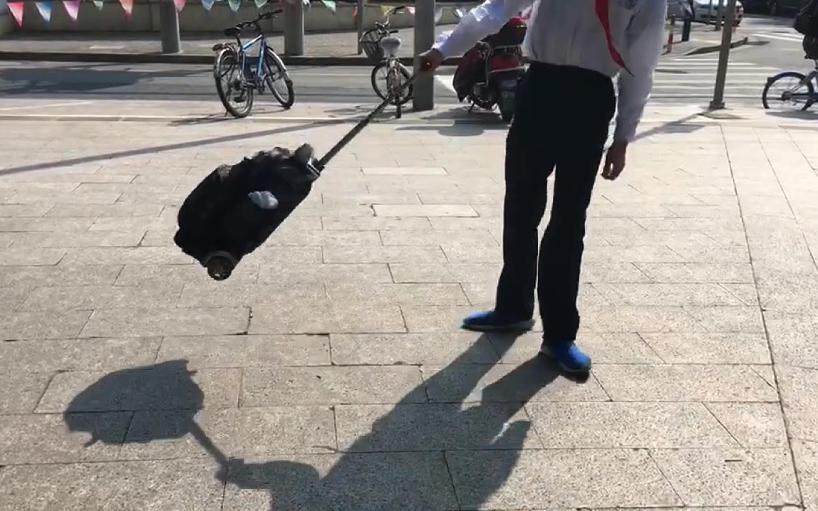 圆周运动中的上下振动——甩拉杆书包时发现的有趣现象