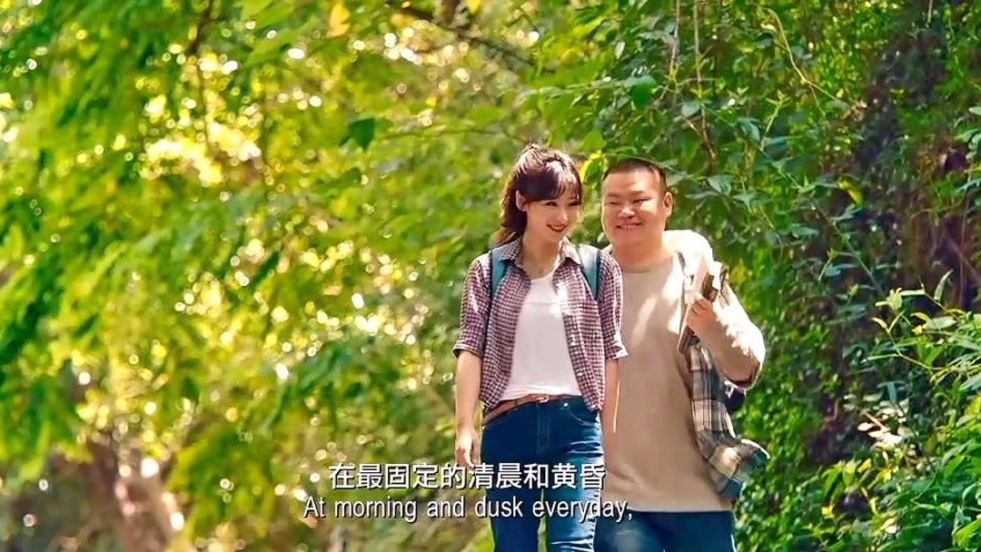 从你的全世界路过:猪头的爱情故事,为了校花,愿意付出一切
