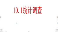 10.1统计 调查(1)