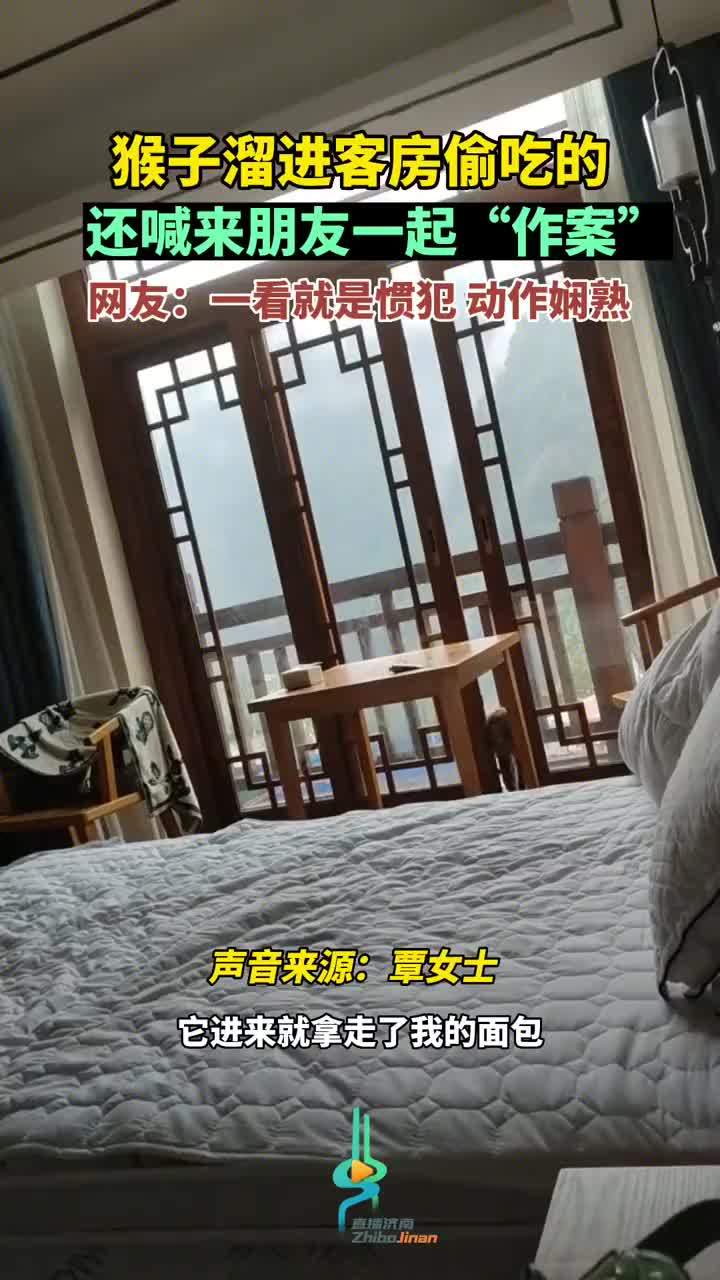 猴子溜进客房偷吃的,还喊来朋友一起"作案"