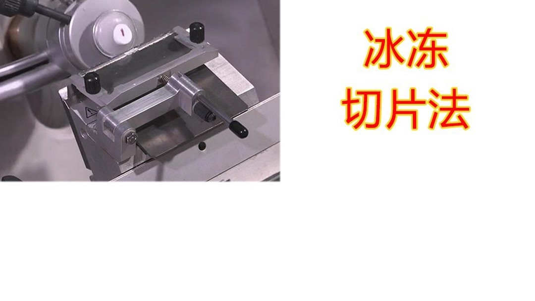 【实验】冰冻切片法制备标本,冰冻切片机的使用方法