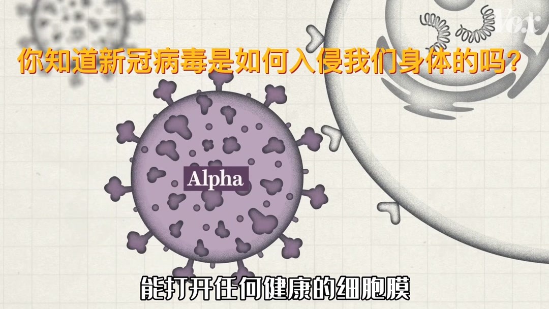 你知道新冠病毒是如何入侵我们身体的吗?