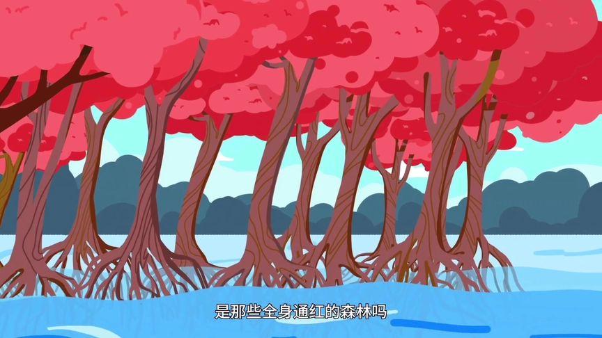 红树林系列科普——认知篇