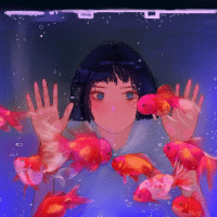 美美侃娱乐 