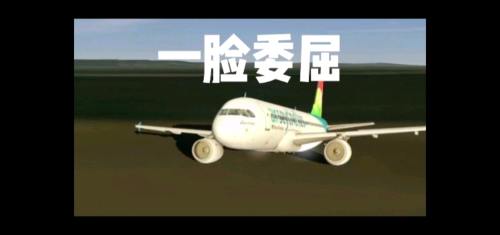 巡航时的沙雕事儿(模拟飞行+火柴人)