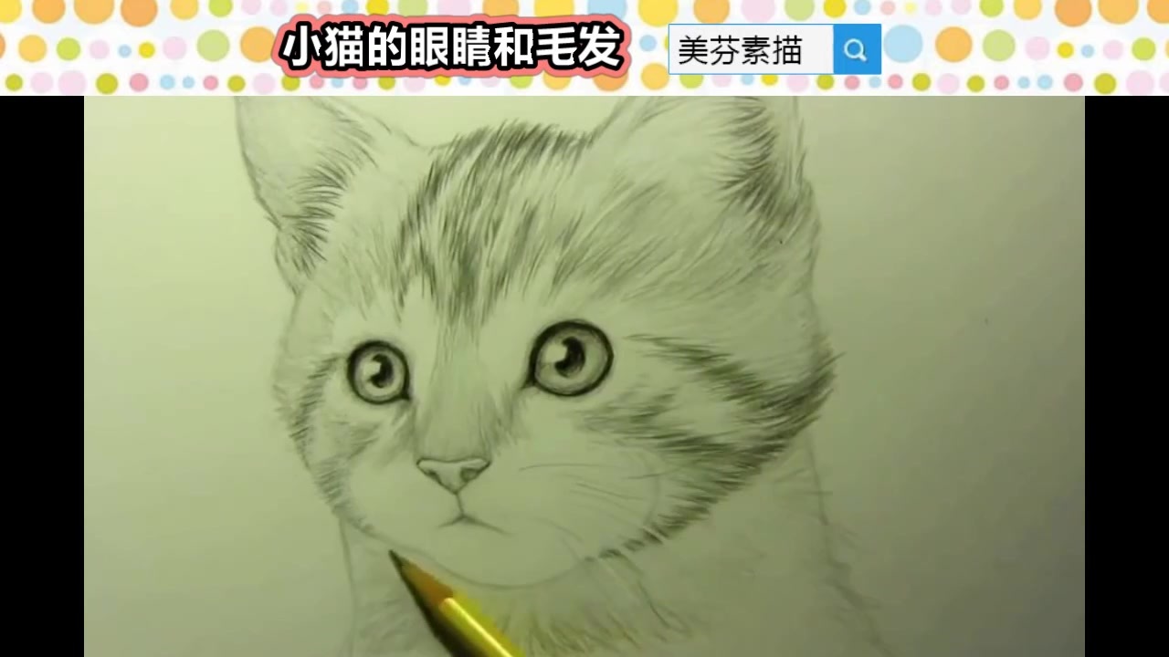 【创意动物素描入门】:教你用最简单的方法,画毛茸茸...
