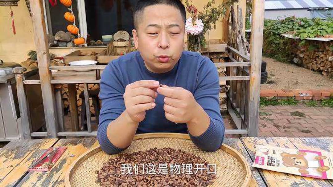 涛哥解答红松籽的开口和颗粒大小,钳子使用