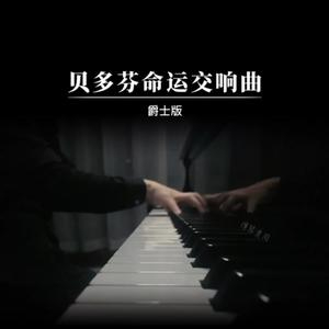 弹琴的快乐 