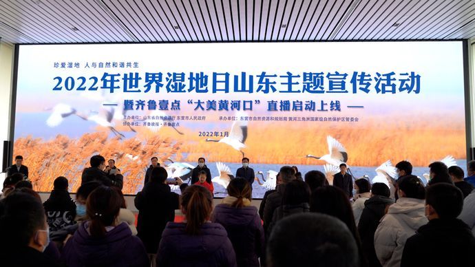 果然视频|2022年世界湿地日山东主题宣传...