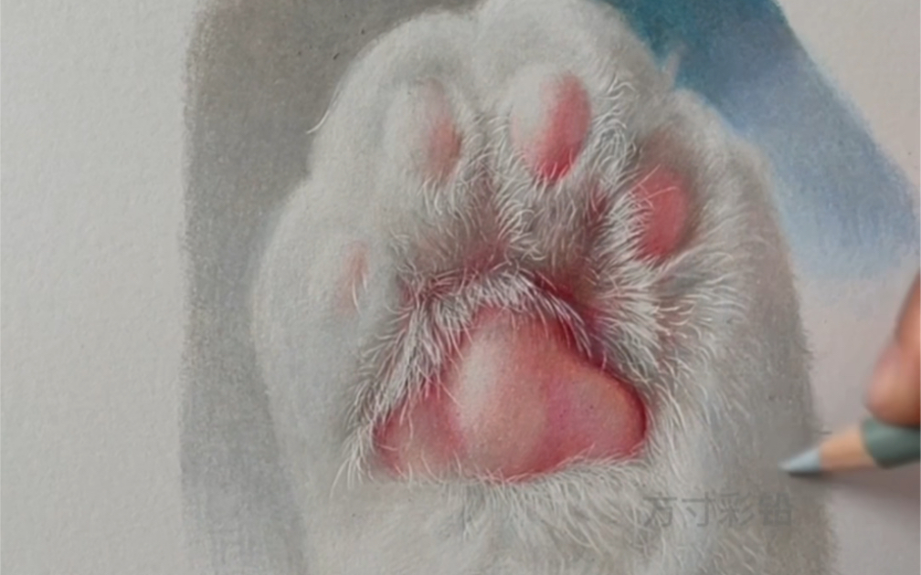 彩铅画一个可爱的猫爪