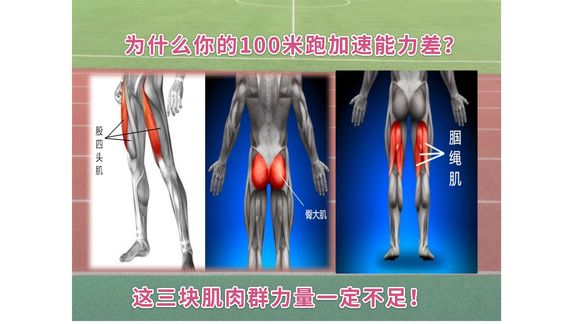 怎么提高100米跑加速能力?这个一定不能少 #体育生 #体考 #田径训练