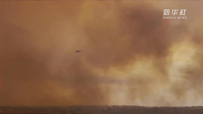 土耳其南部爆发森林火灾