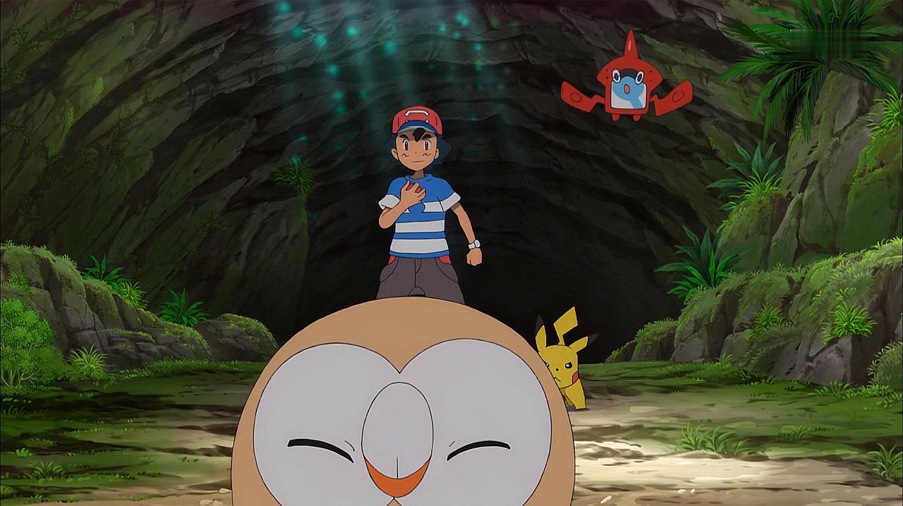 精灵宝可梦:小智让木木枭上场,没想到木木枭居然睡着了