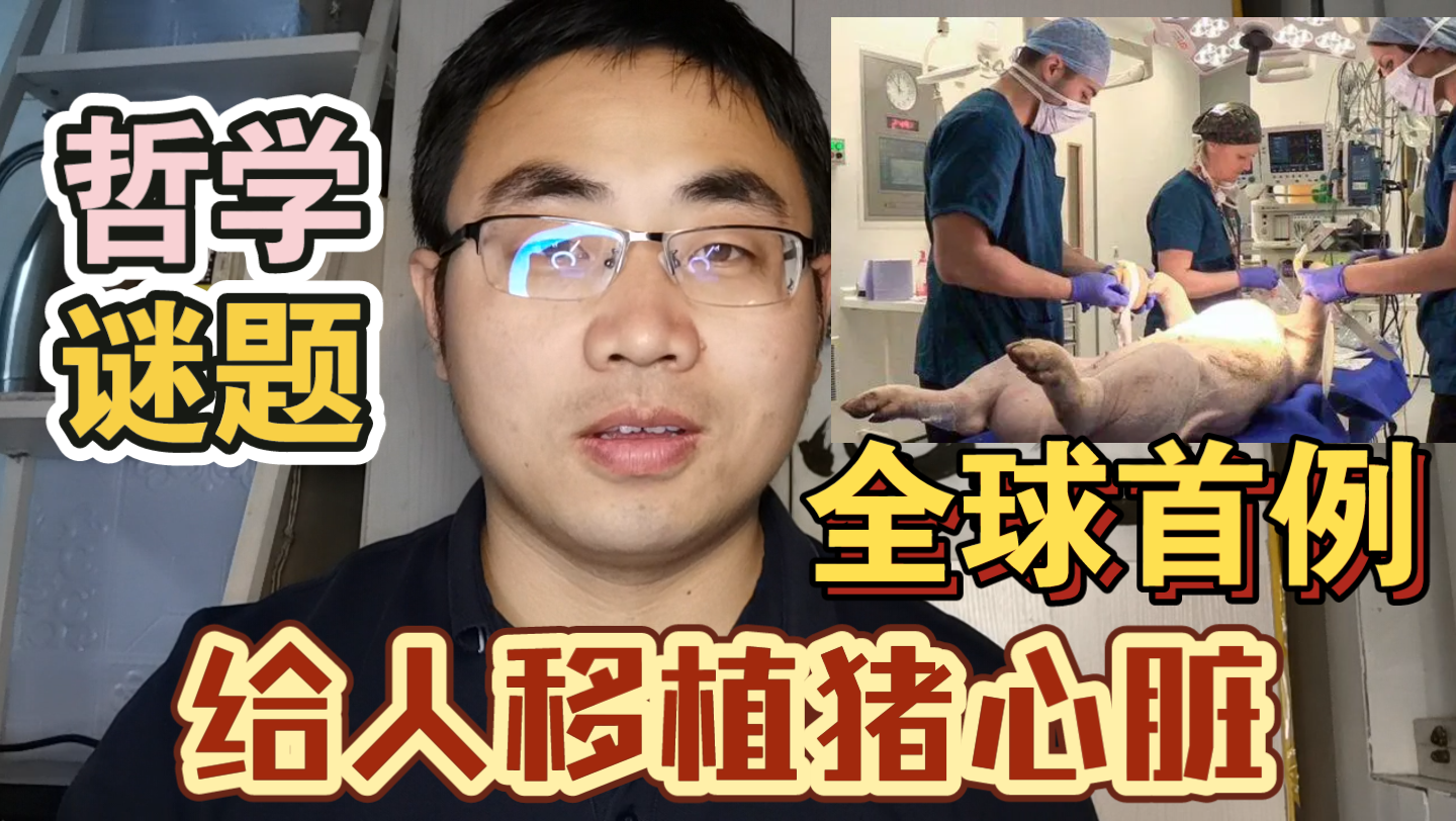一颗猪心脏引发的哲学谜案:全球首例猪心脏移植,你还是曾经的你吗?