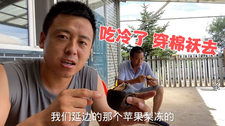 伏天吃它才过瘾!冰箱里翻出东北大冻梨,二条啃完冻的要穿棉袄?