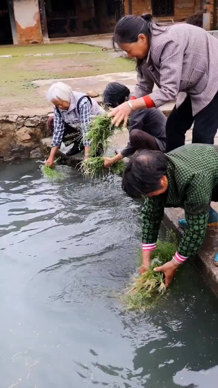 三月三地菜煮鸡蛋一个人最少要吃三三月三
