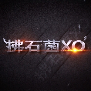 拂石菌XO 
