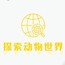 探索动物世界 