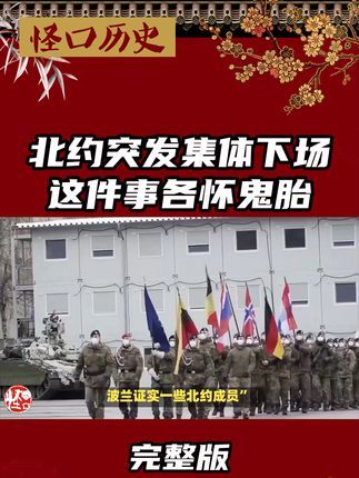 突发北约集体下场,各国各怀鬼胎,目标并非俄罗斯 #军事 #国际 #北约