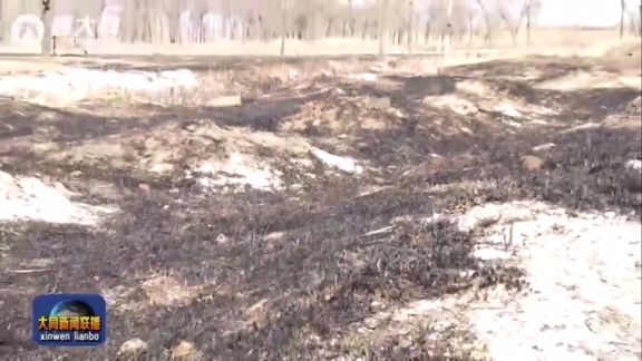 市森林公安分局查处一名火灾肇事违法犯罪嫌疑人