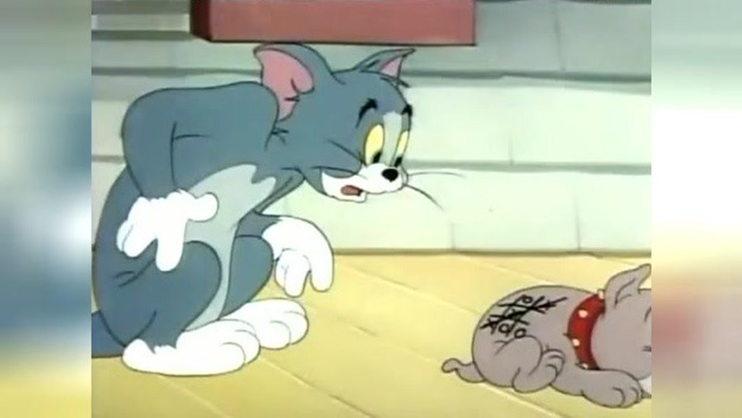 猫和老鼠最精彩片段照看小狗却被老鼠捣乱
