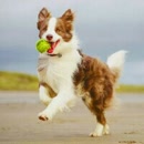 心潮热血之勿忘初心 