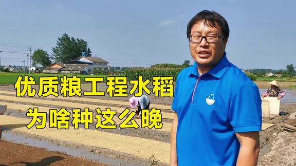 甜瓜、水稻轮作才育秧?优质粮工程水稻为啥种的晚?看完长见识了