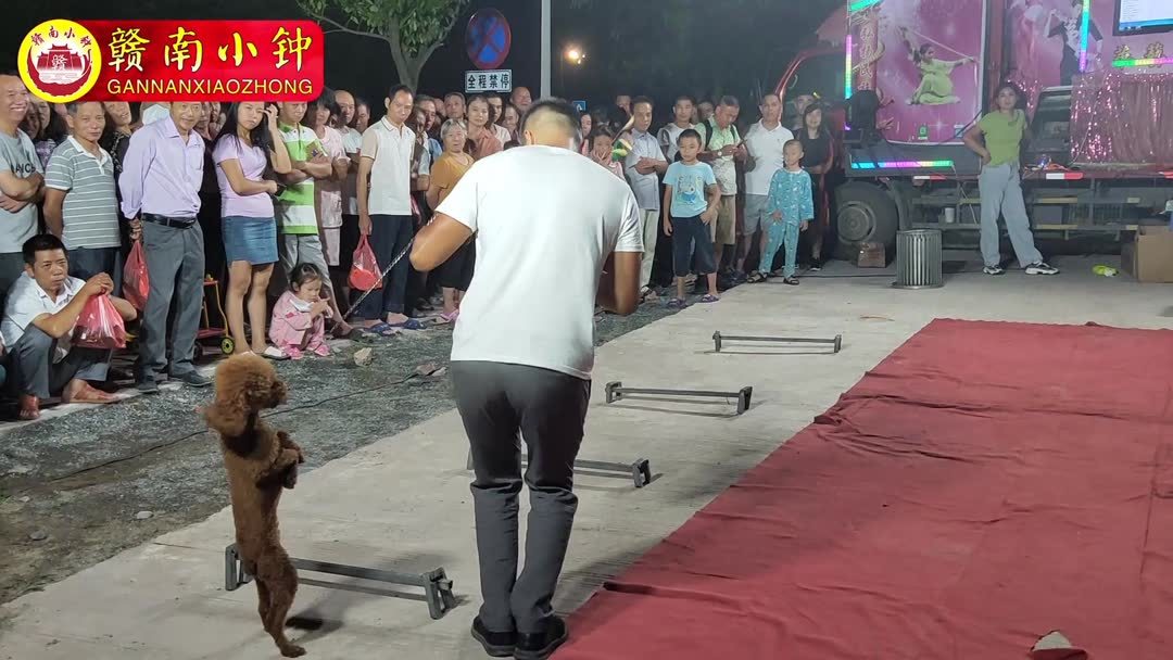 江湖杂技表演:大哥你这耍日本狗真是nbsp; 绝了!