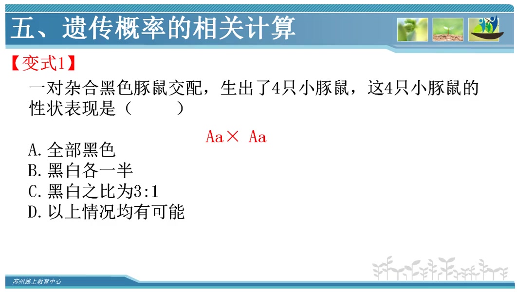高一_生物_基因分离定律解题指导(2) 很重要哦 要接着前面的视频