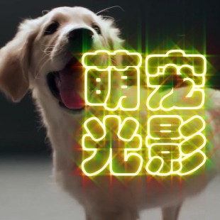 萌宠光影