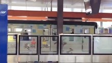 重庆真幸运同时拍到四辆轻轨(单轨)