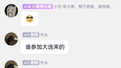 网易我的世界模拟人生服务器招人(服务器国会选举)