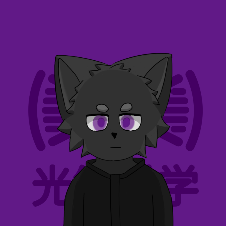 程序员猫同学 