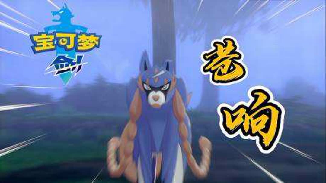 精灵宝可梦剑盾02,这就是剑狗吗?你没变身,我没认出来