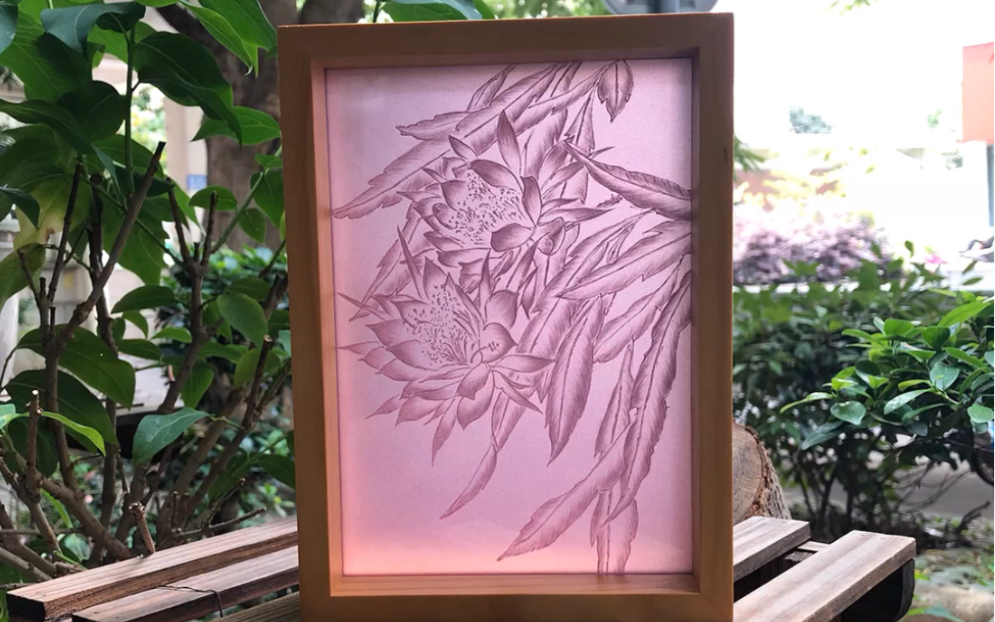 月下美人 – 蕾丝画昙花