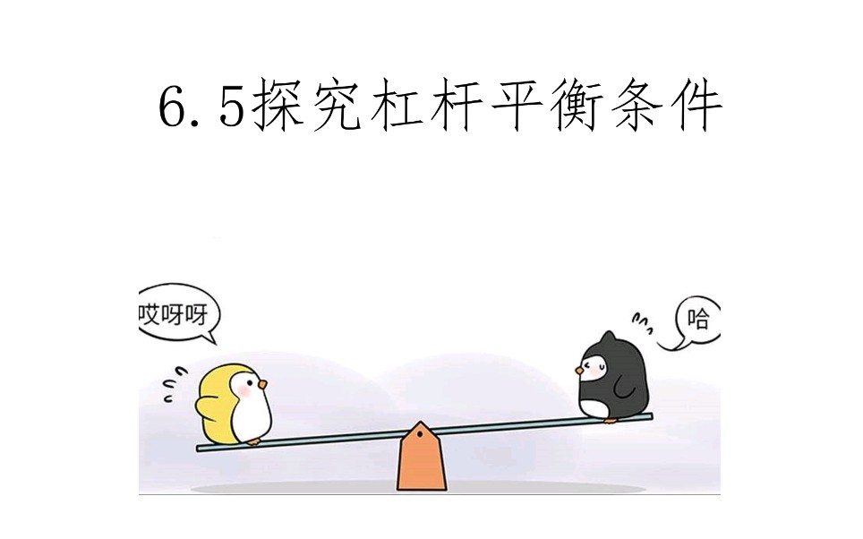 6.5探究杠杆的平衡条件