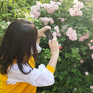 细雨红尘 