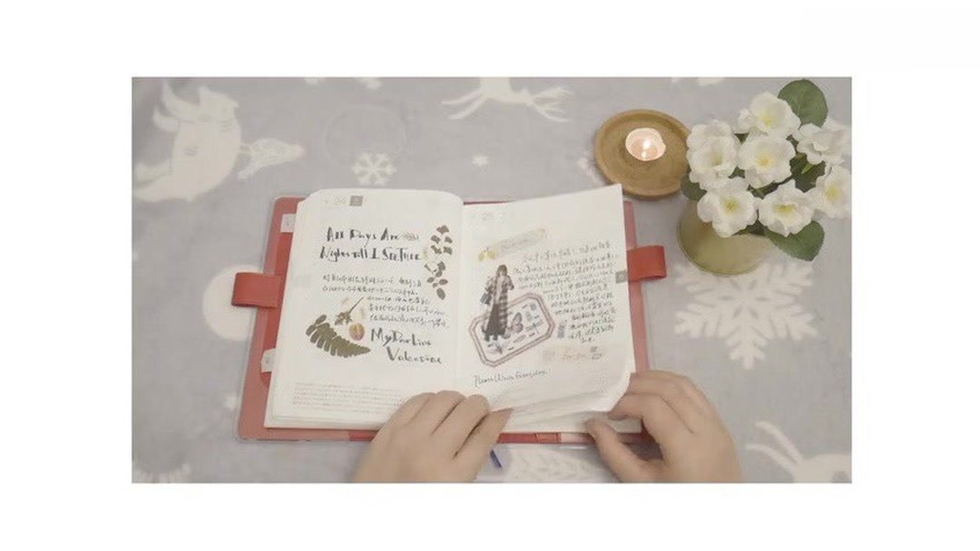 【小隐】翻翻我的手帐 | 2018(上)